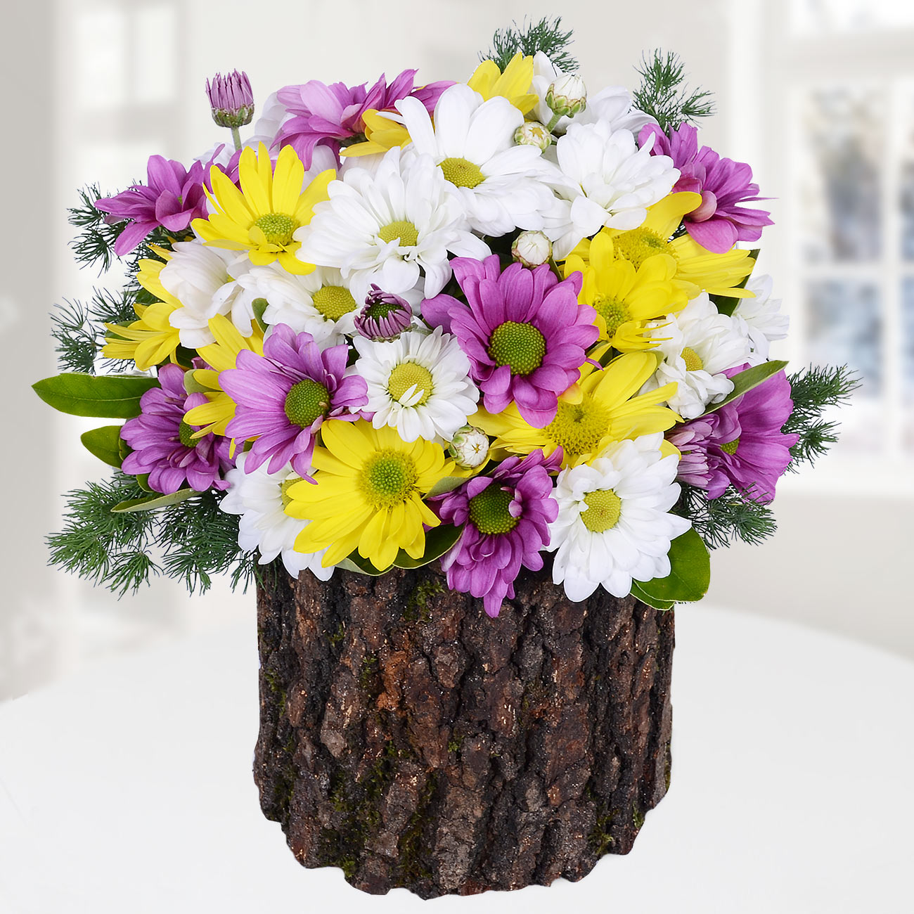 Send flowers Turkey, Colourful Daisies in Natural Log from 24USD